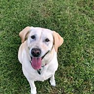 Seriously Serious League - Jersey's Dad | Fantasy Football | Yahoo! Sports