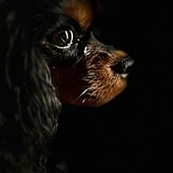 Yahoo H2H-Pts 4371 - Bregs Ballerz | Fantasy Basketball | Yahoo! Sports