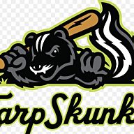 Yahoo H2H-Pts 29057 - Hampton Tarp Skunks | Fantasy Baseball | Yahoo! Sports
