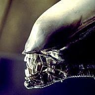 Yahoo H2H-Pts 1016039 - Xenomorphs | Fantasy Football | Yahoo! Sports