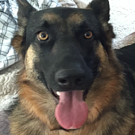 Dynasty Keeper League Year 10 - Big Daddy Squashers | Fantasy Baseball ...