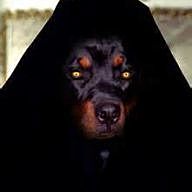 Yahoo H2H-Pts 1350376 - Sith Dogs | Fantasy Football | Yahoo! Sports