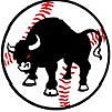 Backyard Baseball XXI - Hackensack Bulls | Fantasy Baseball | Yahoo! Sports