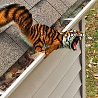 Ballers '24 - Bayou Beast | Fantasy Baseball | Yahoo! Sports