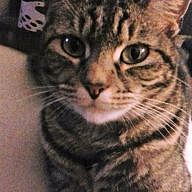 Matchup | Fantasy Baseball | Yahoo! Sports