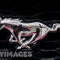 The Best of the Best - Portland Stallions | Fantasy Football | Yahoo ...