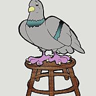 Yahoo Prize H2H-Pts 1057261 - Stool Pigeons | Fantasy Football | Yahoo ...