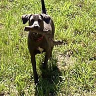 Yahoo Prize H2H-Pts 127159 - Dixie Rebels | Fantasy Football | Yahoo ...