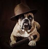 Yahoo Prize H2H-Pts 1052 - The Dogfather 2 | Fantasy Baseball | Yahoo ...