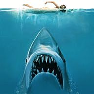 Bird League 2026 - THE GREAT WHITE | Fantasy Baseball | Yahoo! Sports
