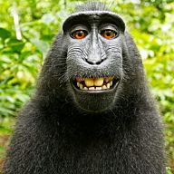 Yahoo Public 197130 - Hairy Monkeys Team | Fantasy Basketball | Yahoo! Sports