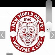 League of Champions - WOLFPAC | Fantasy Football | Yahoo! Sports