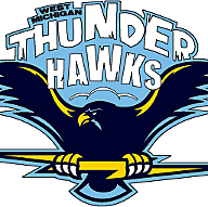 NFLgameday Dynasty - West Michigan Thunderhawks | Fantasy Football | Yahoo! Sports