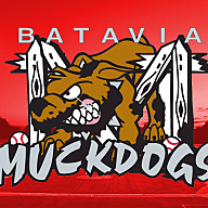 Yahoo H2H-Pts 205512 - Batavia MuckDogs | Fantasy Baseball | Yahoo! Sports