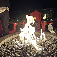 League of Onions 2025 - Seattle Seagulls | Fantasy Football | Yahoo! Sports