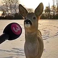 Math Homework - Going 6-7 | Fantasy Football | Yahoo! Sports