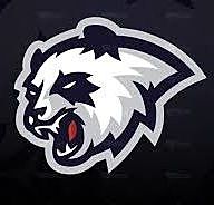 Yahoo Public 22388 - The Enraged Pandas | College Fantasy Football ...