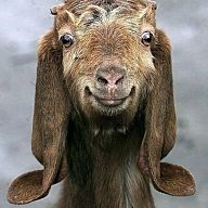 Yahoo H2H-Pts 112692 - Goats-7 | Fantasy Baseball | Yahoo! Sports