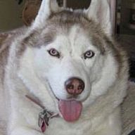 Connor's Mega League - Western Warriors | Fantasy Basketball | Yahoo ...