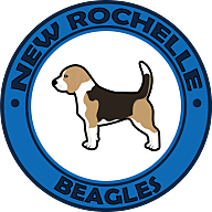 American Football League - Beagles | Fantasy Football | Yahoo! Sports