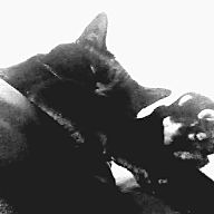 Yahoo Prize H2H-Pts 55888 - Chizzy 20 | Fantasy Baseball | Yahoo! Sports