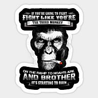 Five Men and A Ball - Third Monkey on Noahs Ark Ramp | Fantasy Football ...