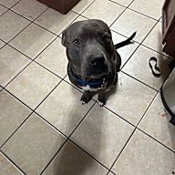 Yahoo H2H-Pts 1289953 - 4U2NVOG420 | Fantasy Football | Yahoo! Sports