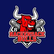 $250 Head to Head - Hackensack Bulls | Fantasy Baseball | Yahoo! Sports