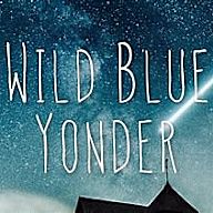 Yahoo Prestige H2H-Pts 1172193 - Wild Blue Yonder | Fantasy Football | Yahoo! Sports