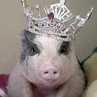 Family Tiez - Pigskin Princess | Fantasy Football | Yahoo! Sports