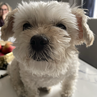 Yahoo Public 108349 - Fark you | Fantasy Baseball | Yahoo! Sports