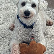 Bushawga's NFL Fantsay - Bijan Frise | Fantasy Football | Yahoo! Sports