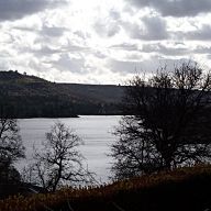 Yahoo H2H-Pts 25830 - C’S - 3 | Fantasy Hockey | Yahoo! Sports