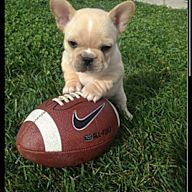 Bayview’s beginners | Fantasy Football | Yahoo! Sports