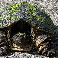 Yahoo H2H-Pts 1513856 - Notmybestdraft | Fantasy Football | Yahoo! Sports