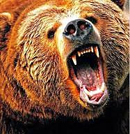 Yahoo Prize H2H-Pts 1224809 - Wounded Bear | Fantasy Football | Yahoo ...