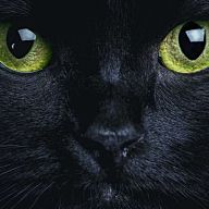 🏈 ‘We’re all pals here!’ 🏈 - BamBamNam | Fantasy Football | Yahoo! Sports