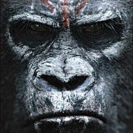 LETS GO!!!! - The Gorillas's | Fantasy Baseball | Yahoo! Sports