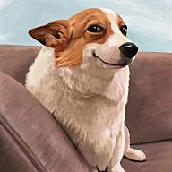 Yahoo H2H-Pts 1446099 - Crymych Corgis | Fantasy Football | Yahoo! Sports