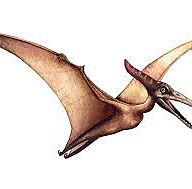 Fantasy life - Pteam Pterodactyl | Fantasy Football | Yahoo! Sports